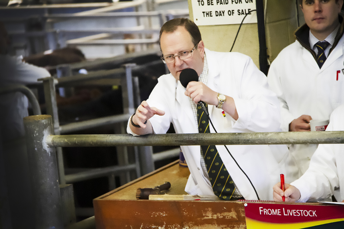 Upcoming agricultural auctions from our livestock markets in ...