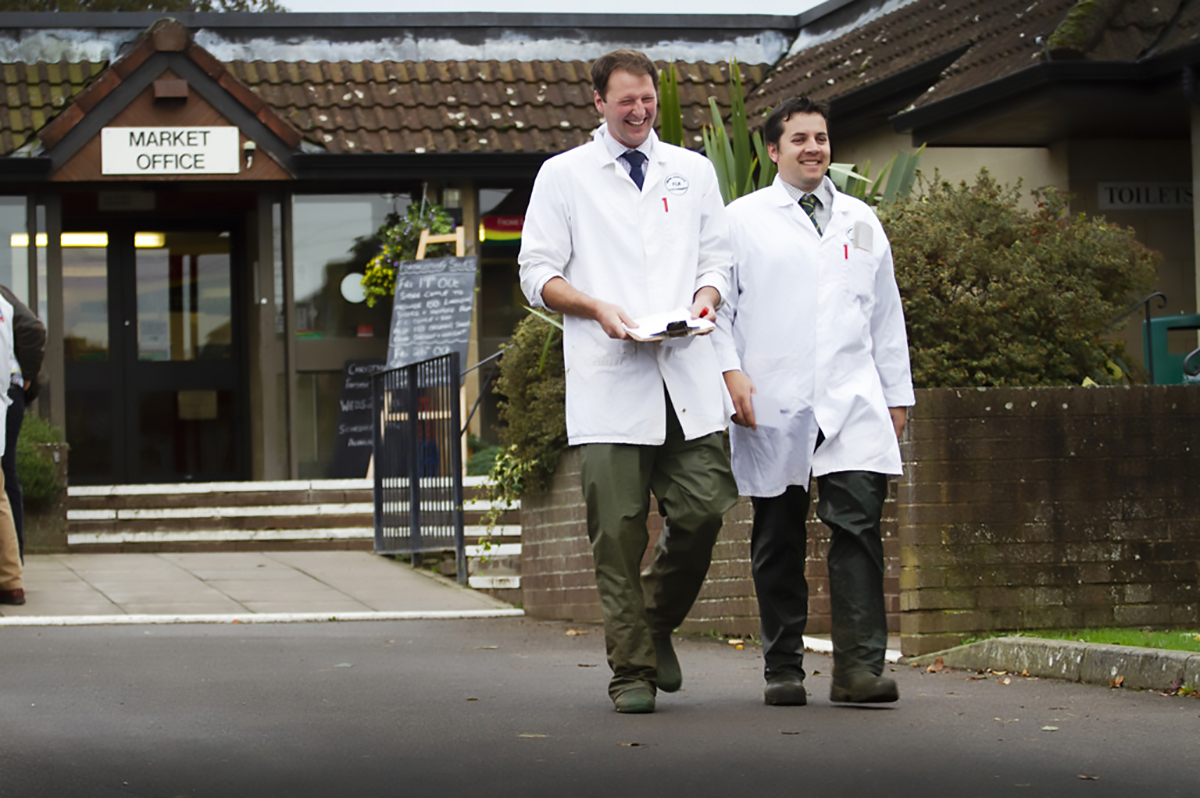 Contact our livestock valuation & auctioneering experts based at Frome ...